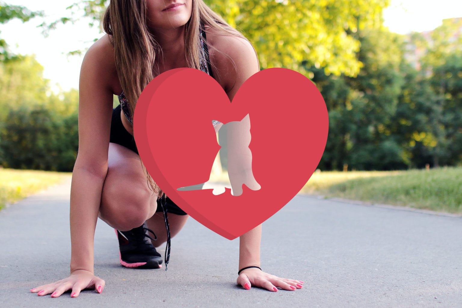Kittenplay - Kitten-play.com